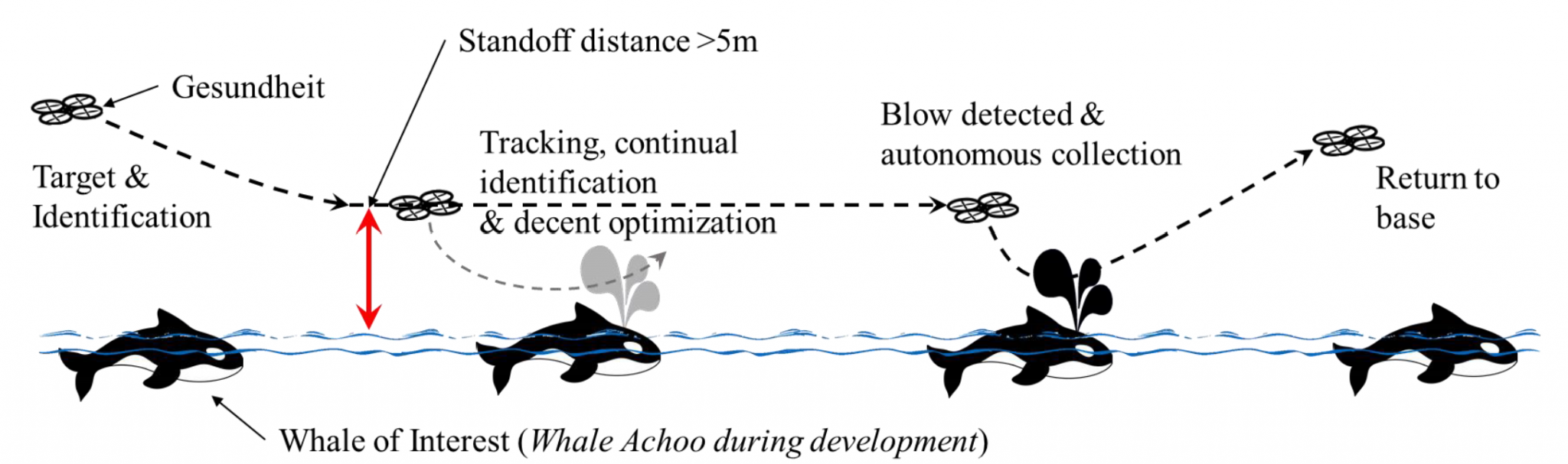 Whale Achoo and Gesundheit - Multi-Domain Laboratory