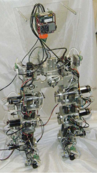 Legged Robots - Advanced Biomechatronics & Locomotion Lab