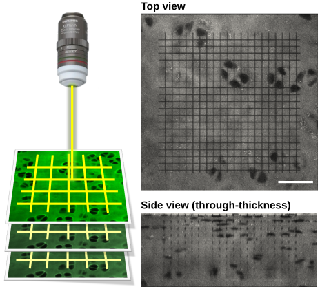 Research - MuBEST Laboratory
