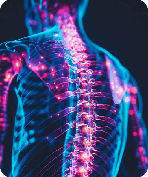 Research in the Neuroscience Department - Neuroscience