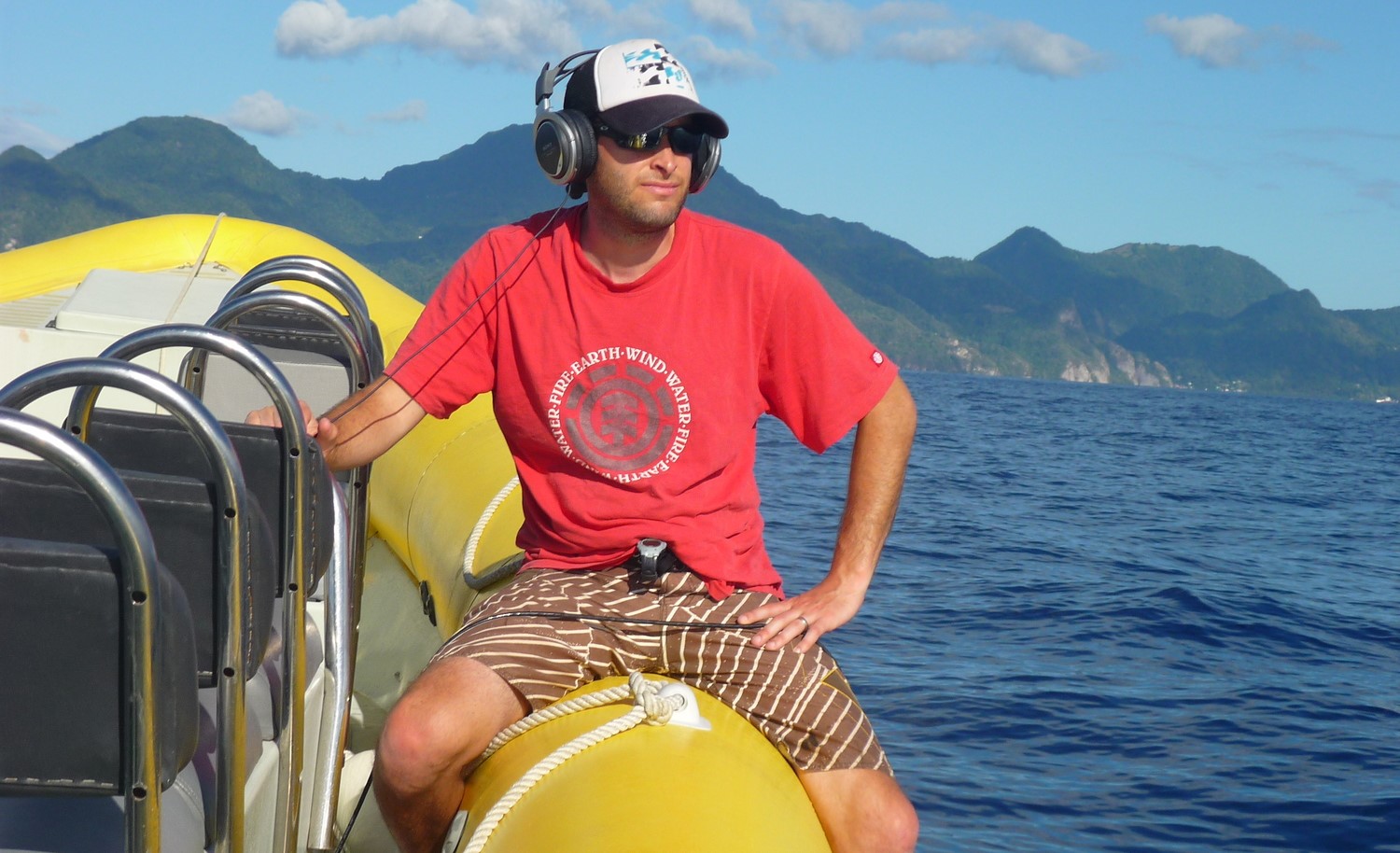 Decoding Whale Communication with AI: What Whales are Saying