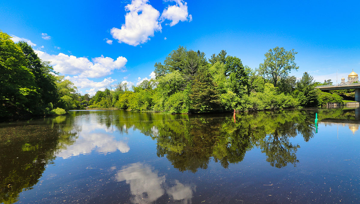 Water Quality Expert Jumps into Rideau River Swimming Research
