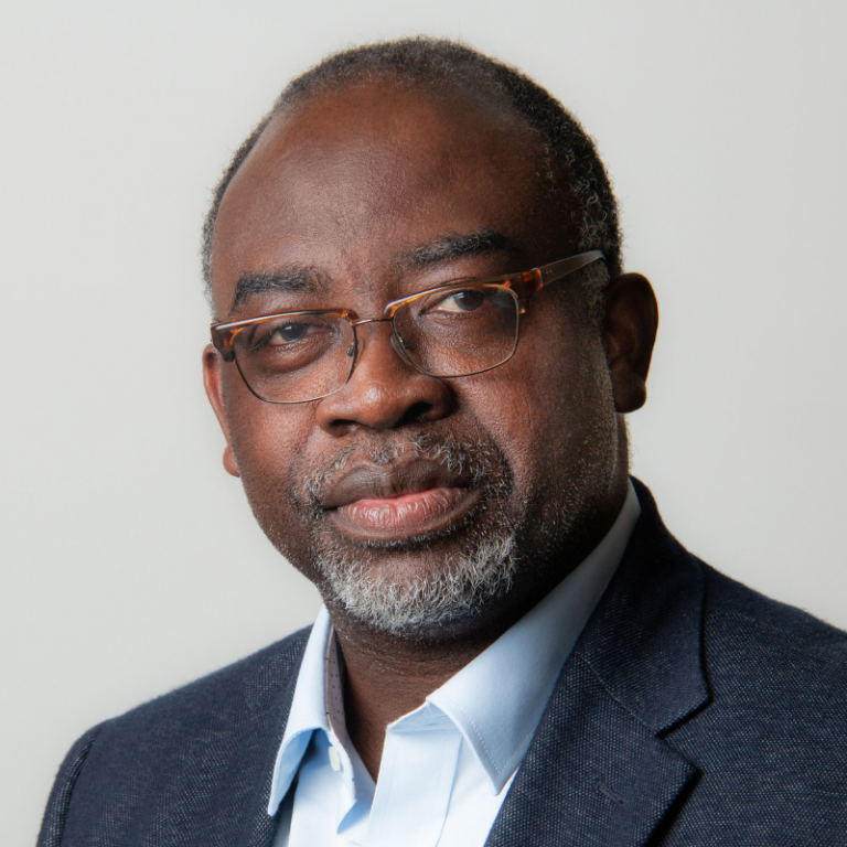 Adegboyega Ojo Discusses Artificial Intelligence in the Public & Nonprofit Sectors | PANL