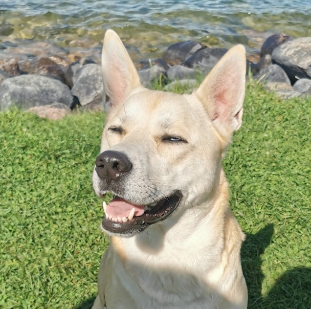 Sky - Police Research Lab (PRL)