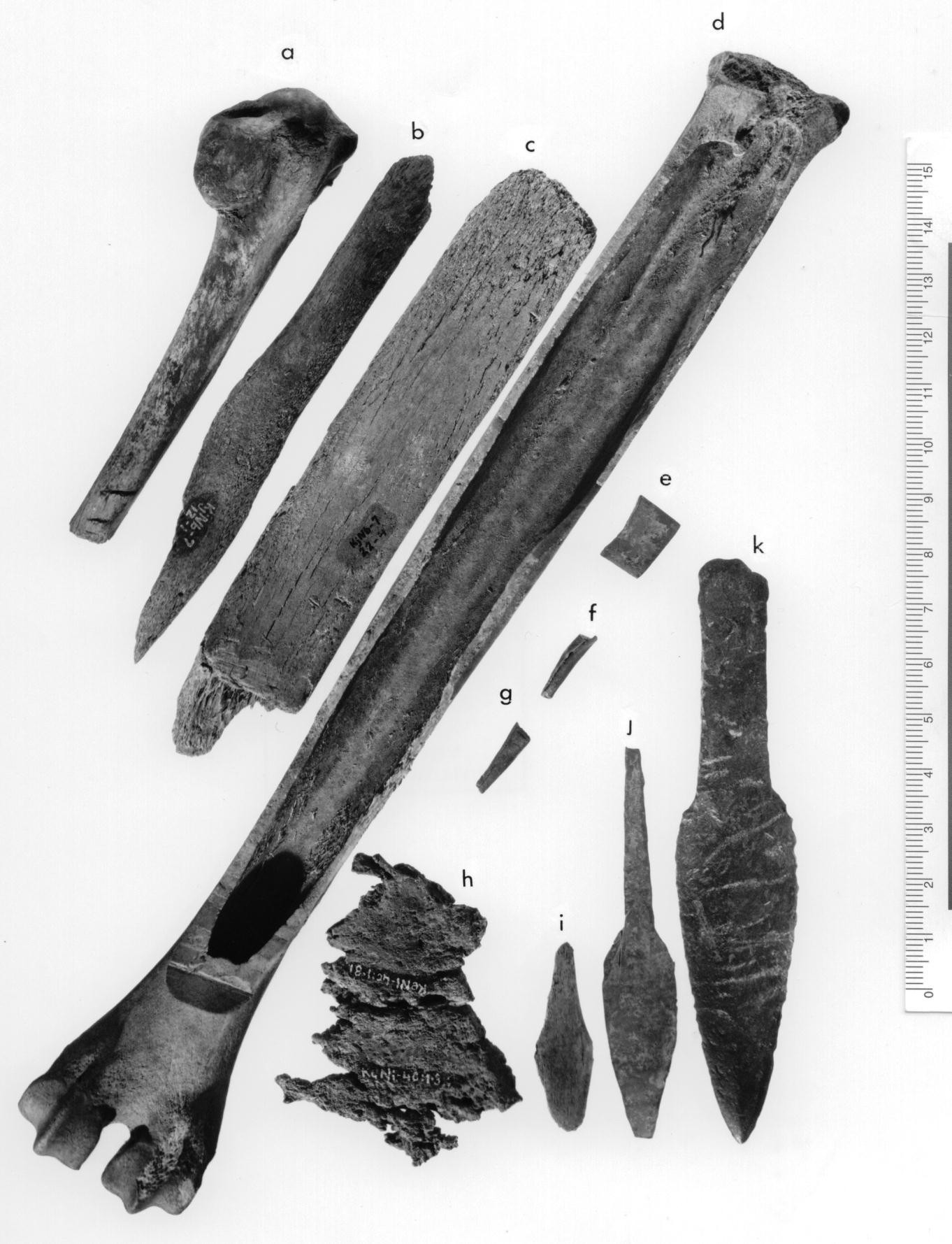 Beamer and Flesher - Rangifer Central