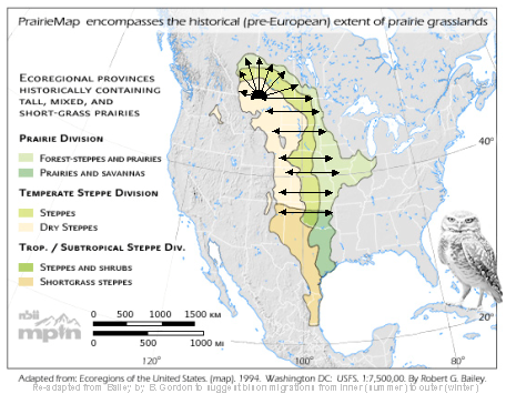 SAA 2008 Conference Presentation - Rangifer Central