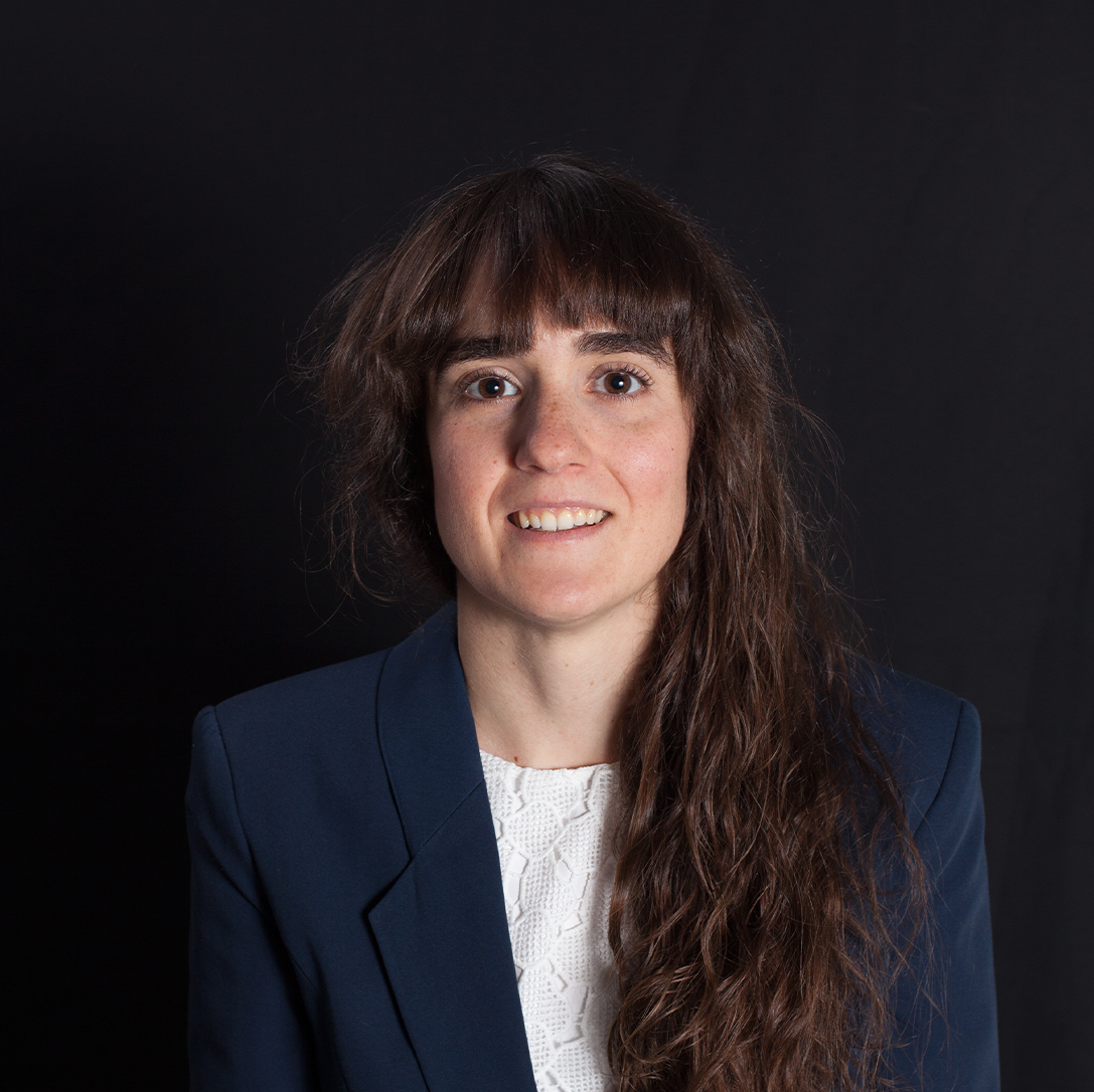 Two International Simulation Awards for SCE Faculty members - Systems ...