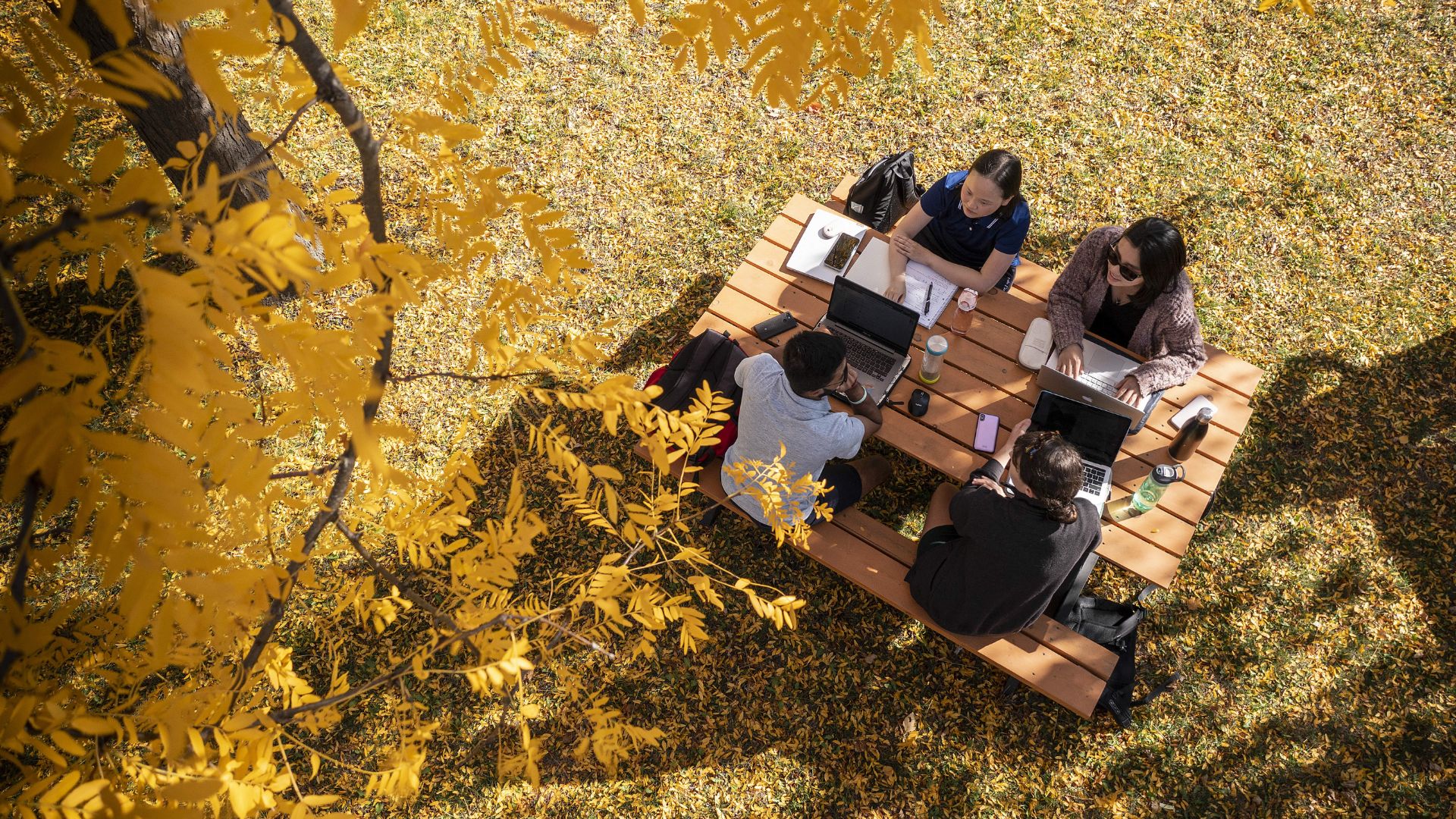 Fall Open House 2024 - Events - Systems and Computer Engineering