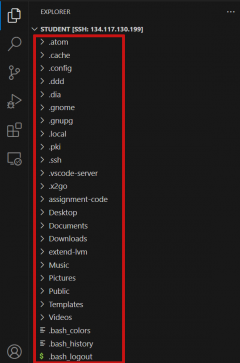 vscode: Remote Access and Code Editing - School of Computer Science
