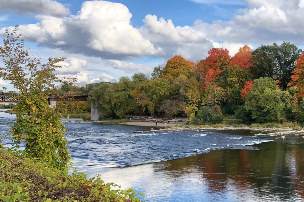 Programs - School of Public Policy & Administration