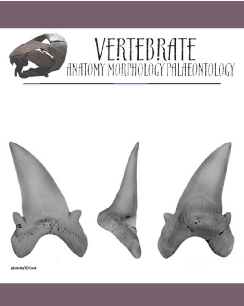 Patterson Lab Publications 2023-2025 - Professor Tim Patterson, Ph.D