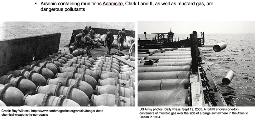 Laboratory News - Professor Tim Patterson, Ph.D