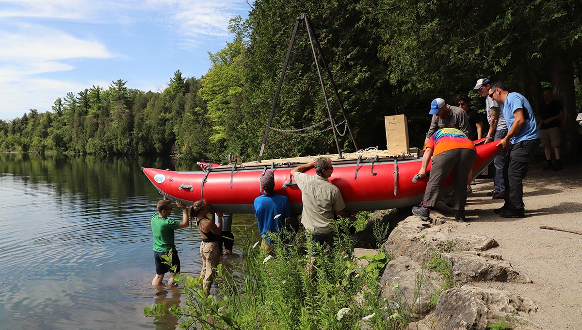 Laboratory News - Professor Tim Patterson, Ph.D
