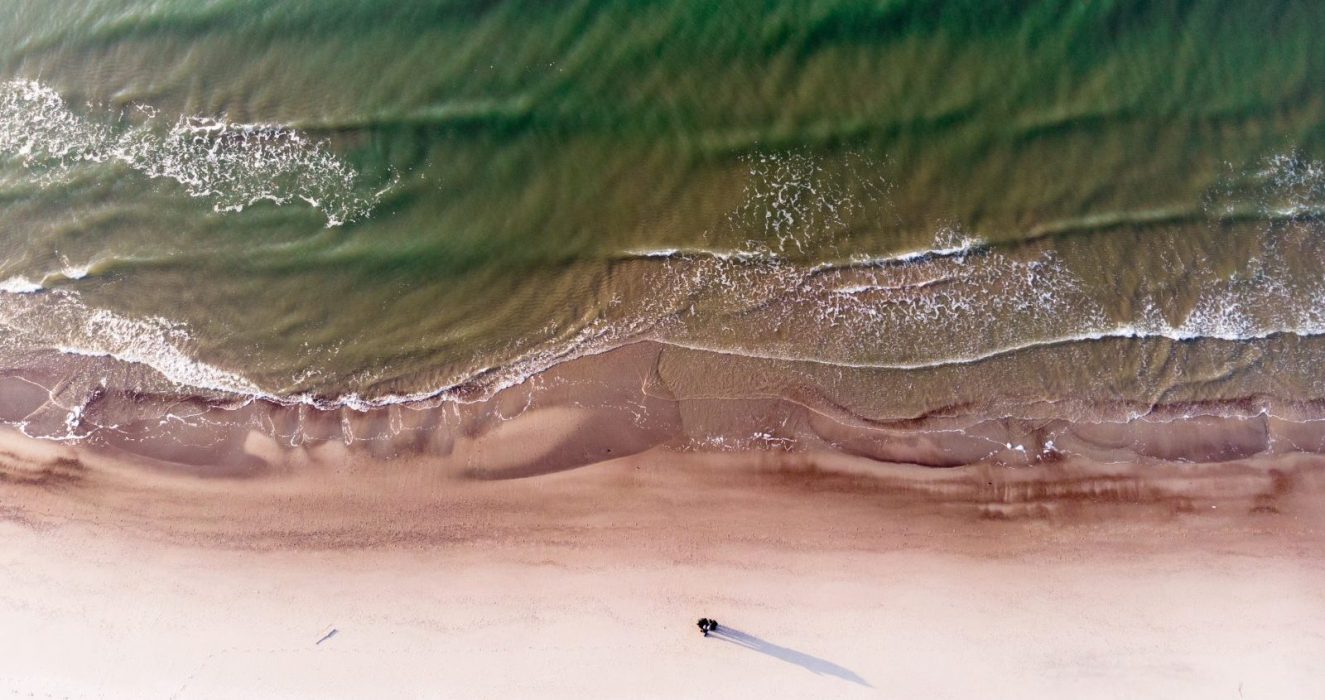 Laboratory News - Professor Tim Patterson, Ph.D