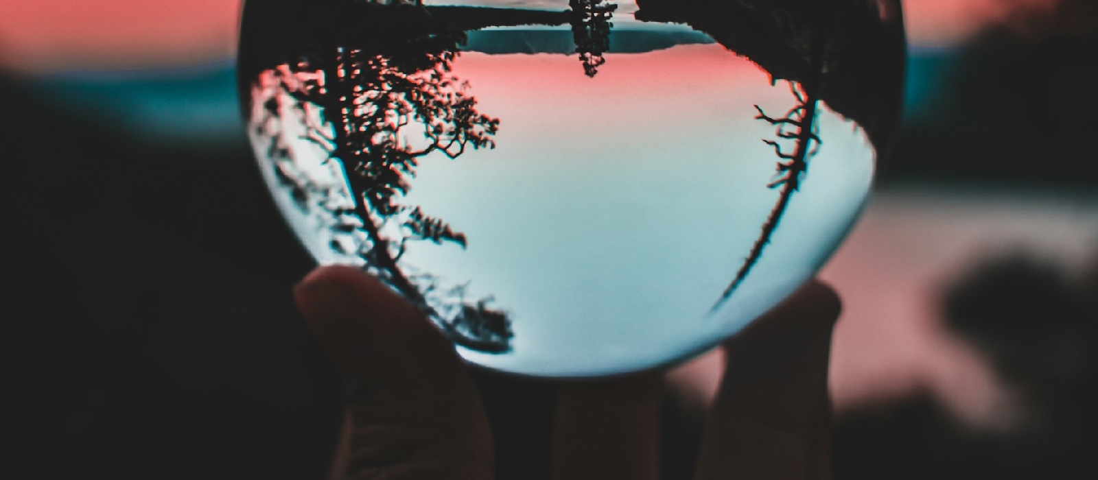 Why is Embodied Learning Important? - Teaching and Learning Services