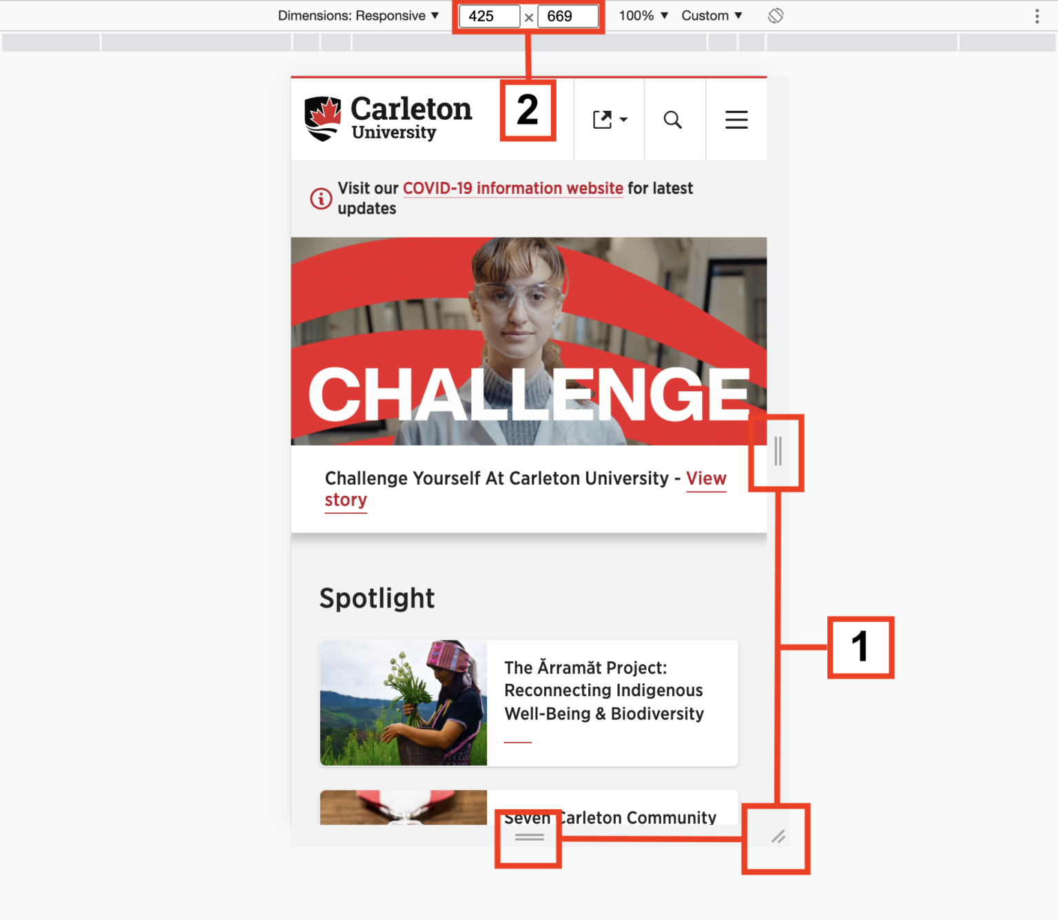 Seeing the Smaller Picture: Why and How to Use Mobile View on Desktop ...