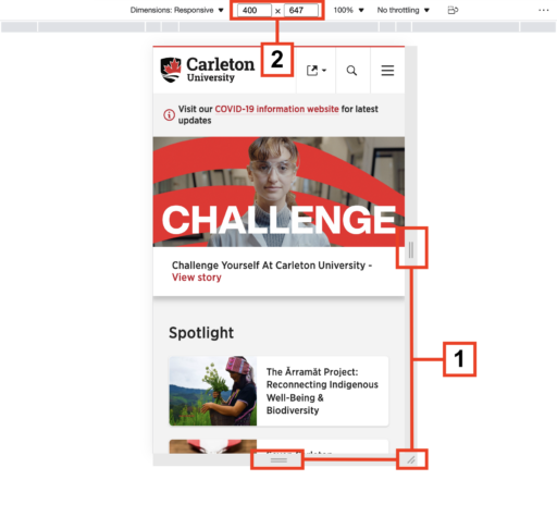 Seeing the Smaller Picture: Why and How to Use Mobile View on Desktop ...