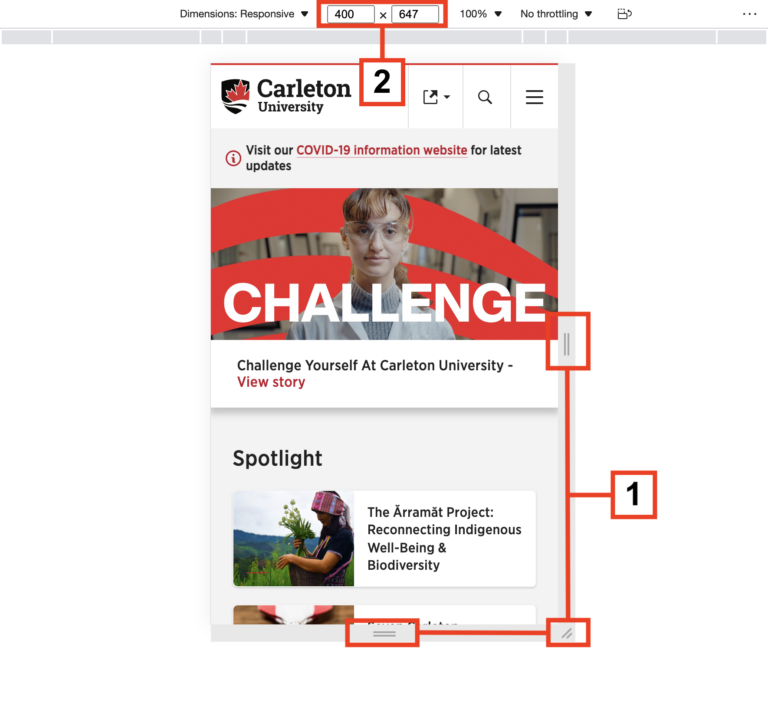 Seeing the Smaller Picture: Why and How to Use Mobile View on Desktop ...