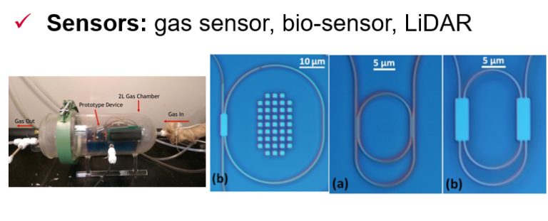 Professor Winnie Ye - Silicon Micro/NanoPhotonics Laboratory - Carleton ...