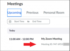 What is a Meeting ID and how do I find it? - Zoom At Carleton